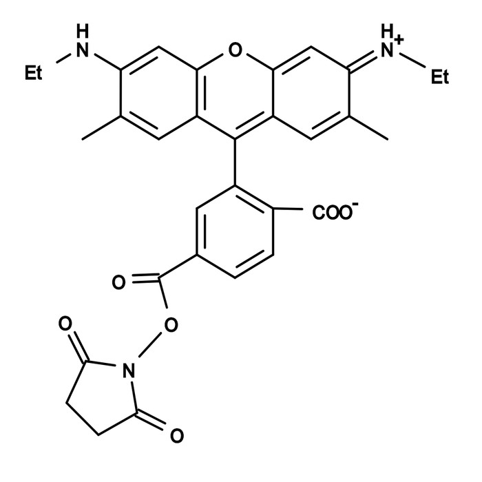 6-CR6G, SE [6-Carboxyrhodamine 6G, succinimidyl ester] *Single isomer ...