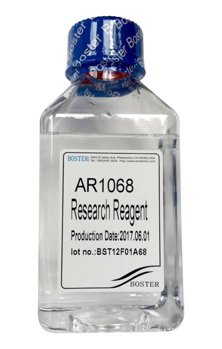 4% Paraformaldehyde (PFA) Solution in PBS（BBT-AR1068-500ML）（カテゴリ：化成品 ...