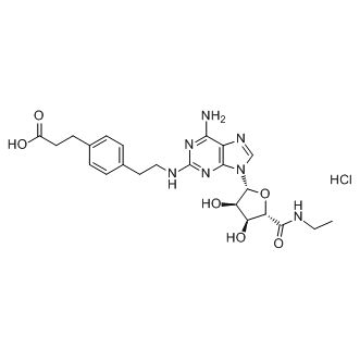 CGS 21680 Hydrochloride（MCH-HY13201A-5MG）（カテゴリ：化成品） | 商品情報 | コスモ・バイオ株式会社
