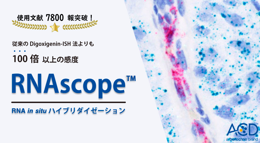 RNAscope（TM）RNA in situ ハイブリダイゼーション | コスモ・バイオ株式会社